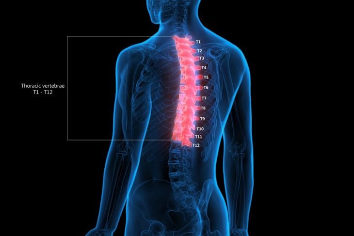 Come la colonna vertebrale sostiene il corpo - Salus.it