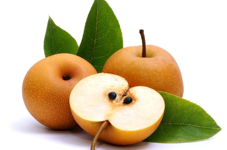 10 alimenti che fanno la cacca - Salus.it